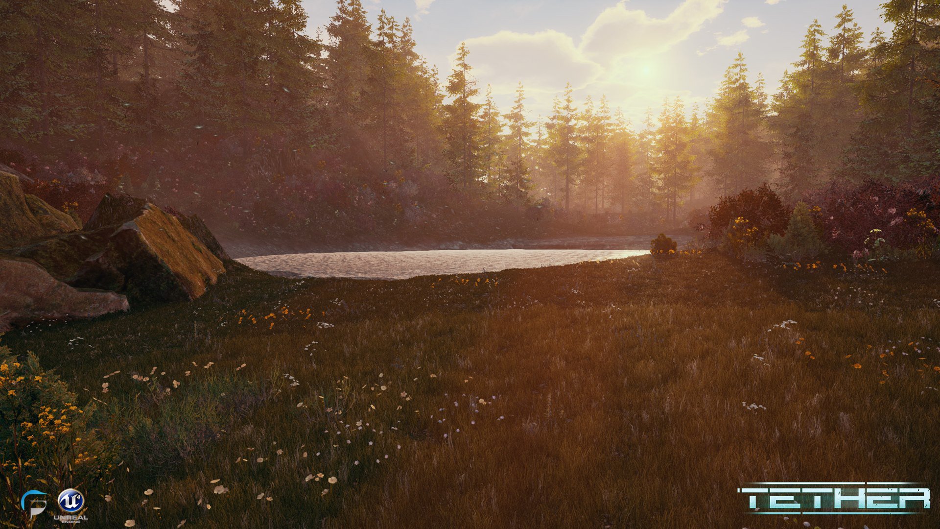 Tether - A first-person adventure horror game in a spaceship. | NeoGAF